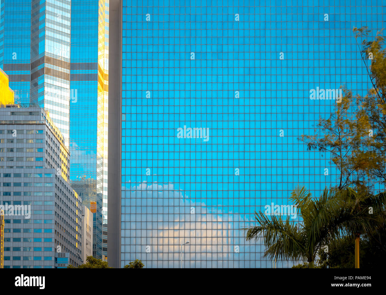 Modern office building close up in sunlight / Office building window ...