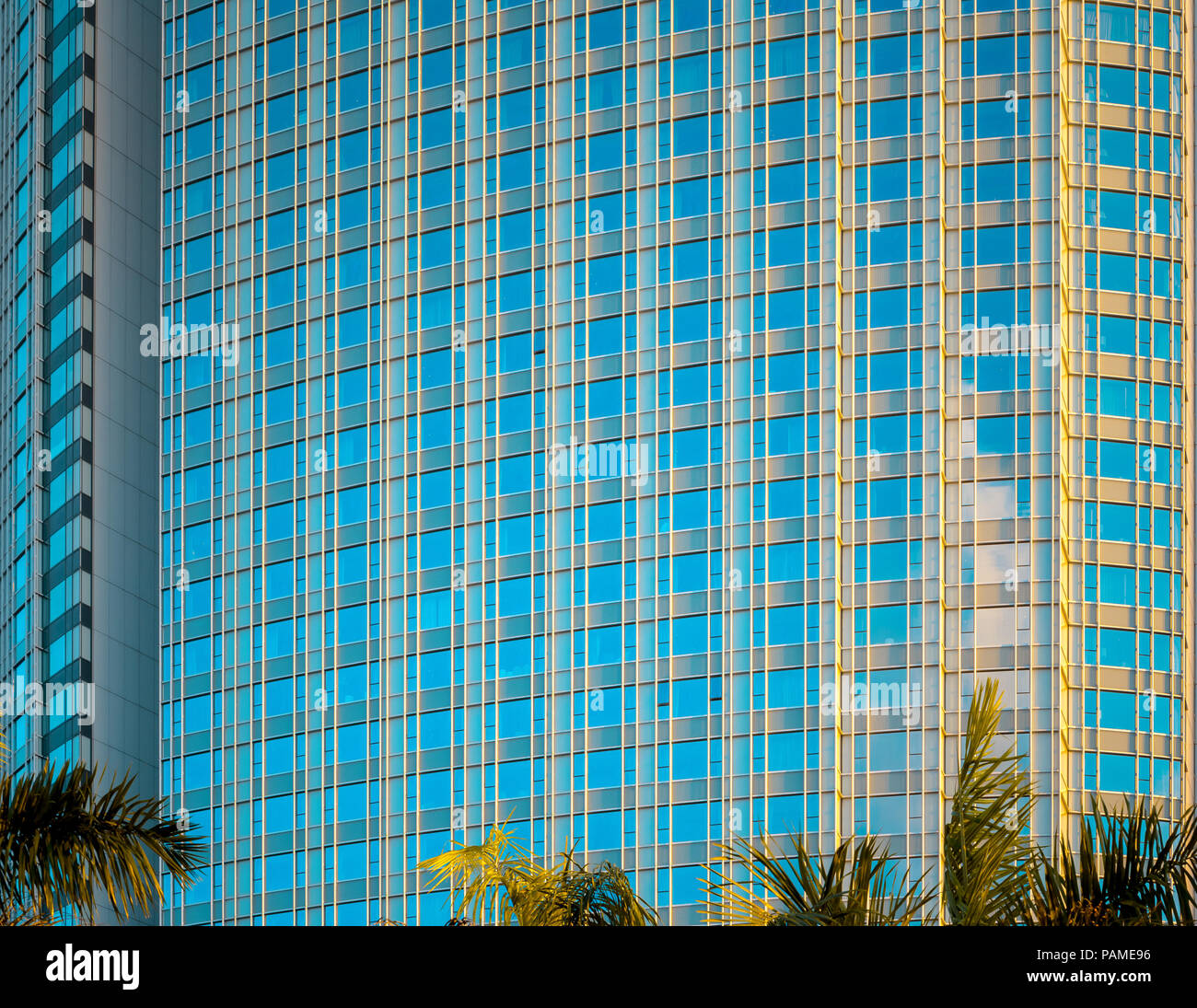 Modern office building close up in sunlight / Office building window ...