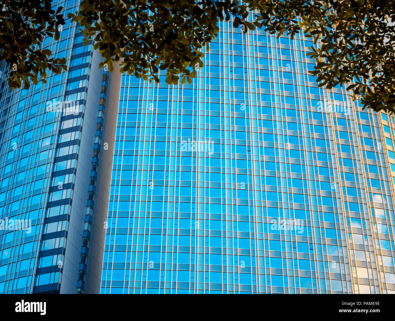 Modern office building close up in sunlight / Office building window ...