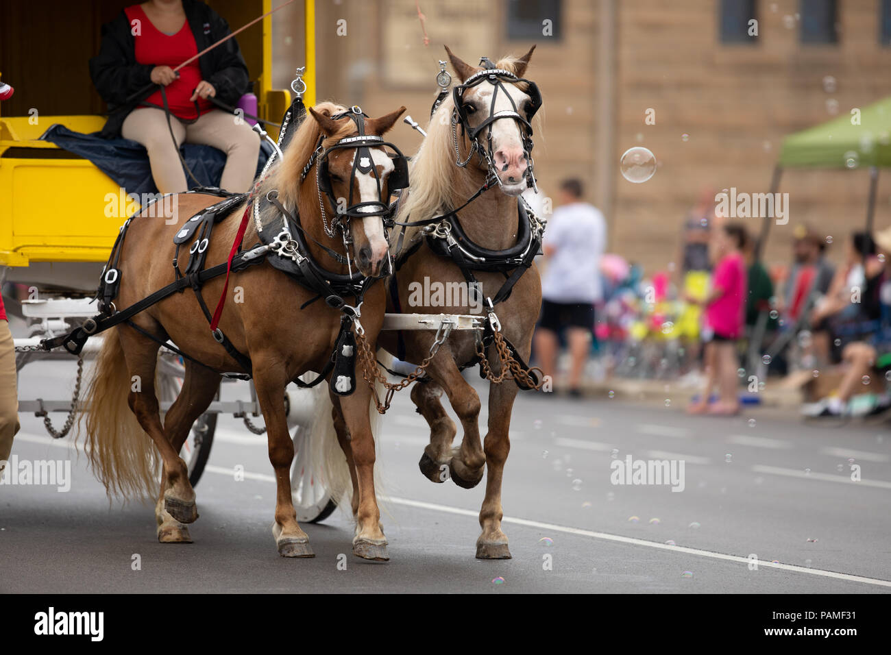 Peru, Indiana, USA - July 21, 2018 Two horses pulling a Circus wagon at ...