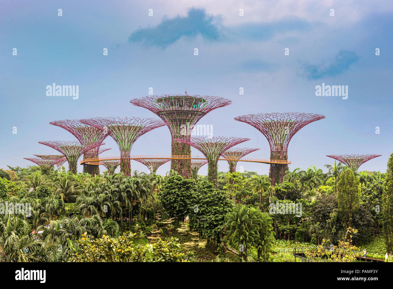 Supertree Grove, Unique vertical gardens resembling towering trees ...