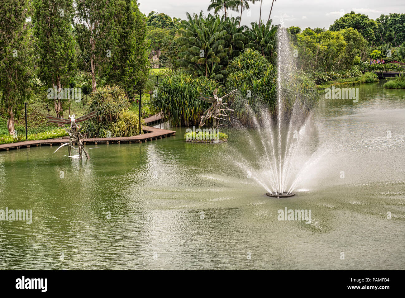 Dragonfly lake singapore hi-res stock photography and images - Alamy