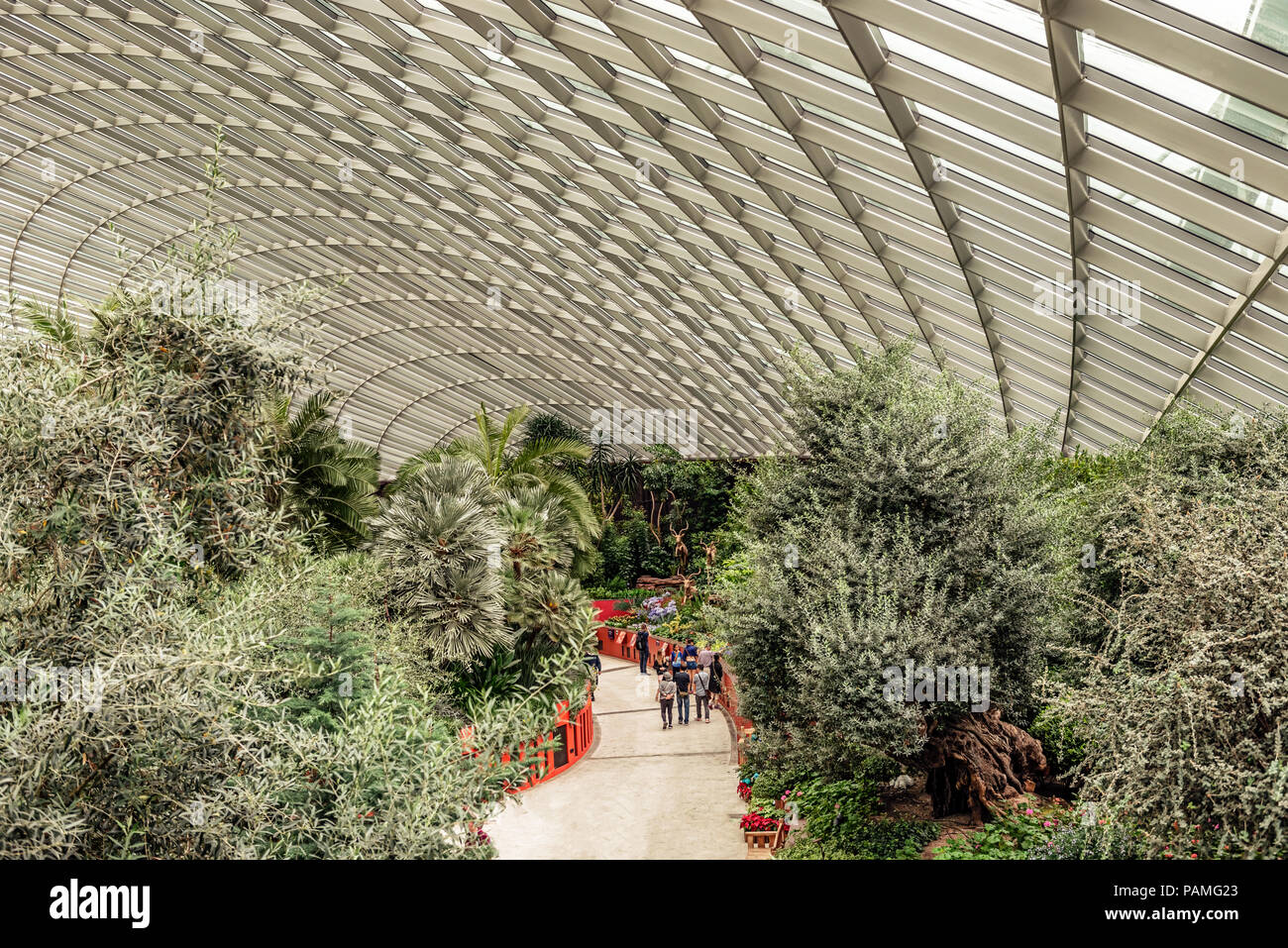 Singapore Jan 11, 2018: Tourists visiting flower dome conservatory at ...