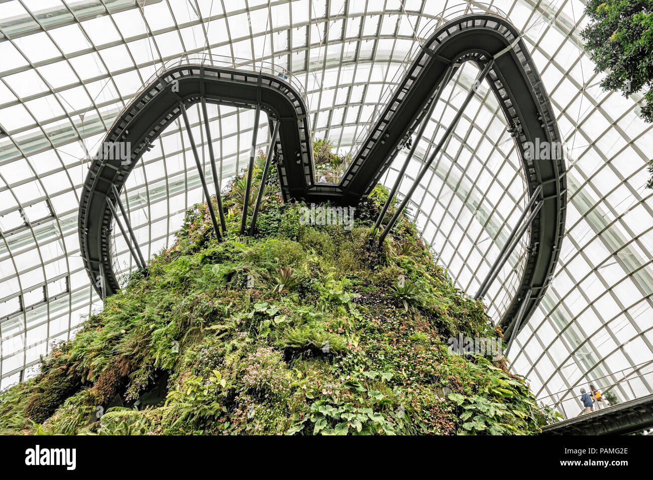 Singapore Jan 11, 2018: Tourists visiting cloud forest dome ...
