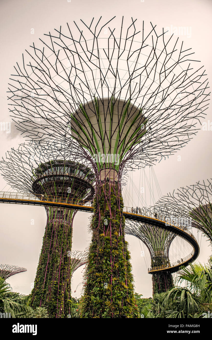 Singapore - Jan 14, 2018: Tourists walking on platform on Supertree ...