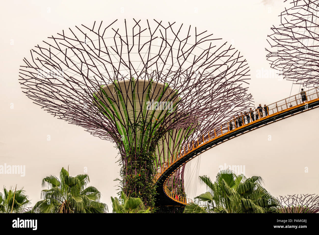 Singapore - Jan 14, 2018: Tourists walking on platform on Supertree ...