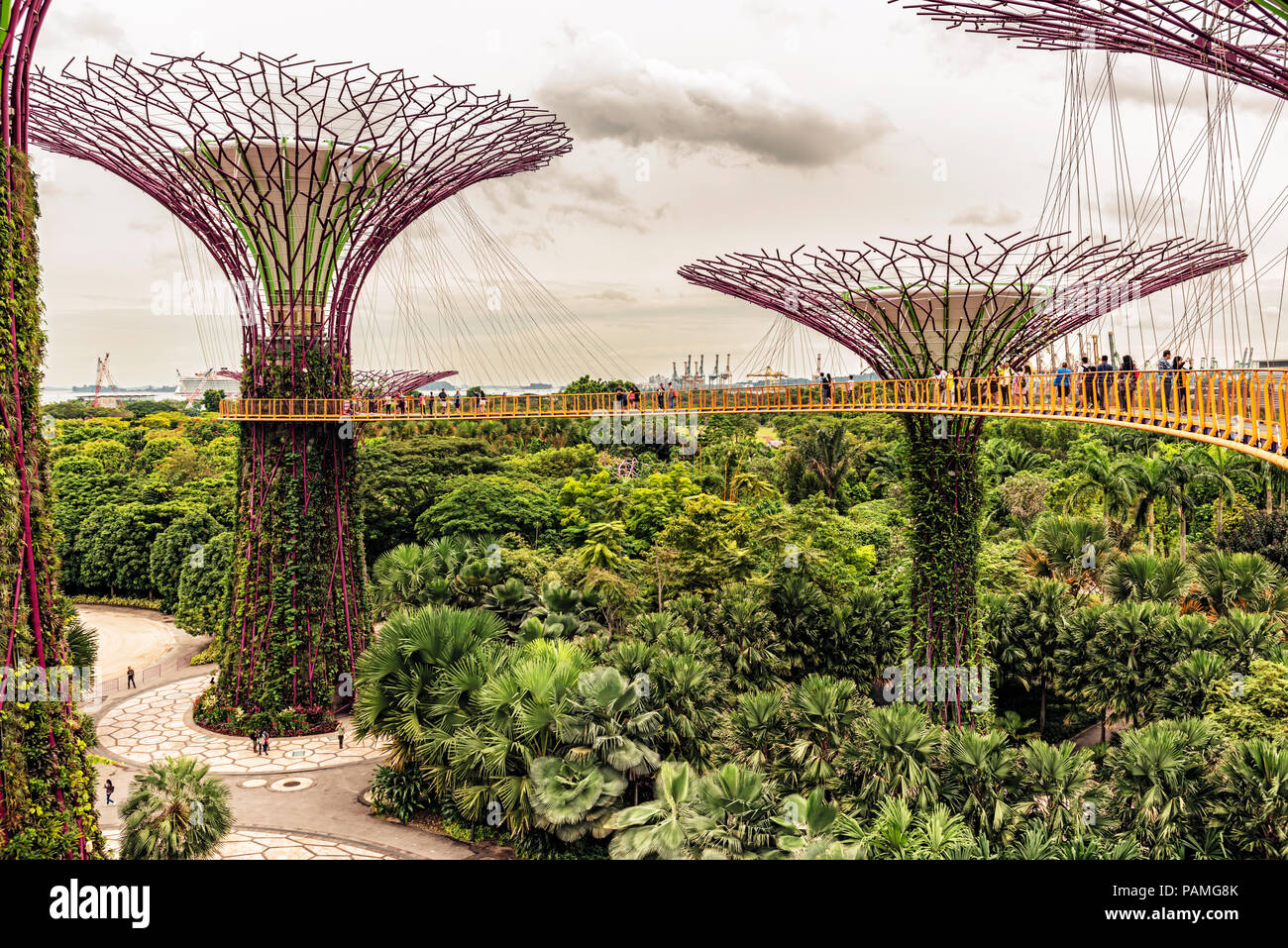 Singapore - Jan 14, 2018: Tourists walking on platform on Supertree ...