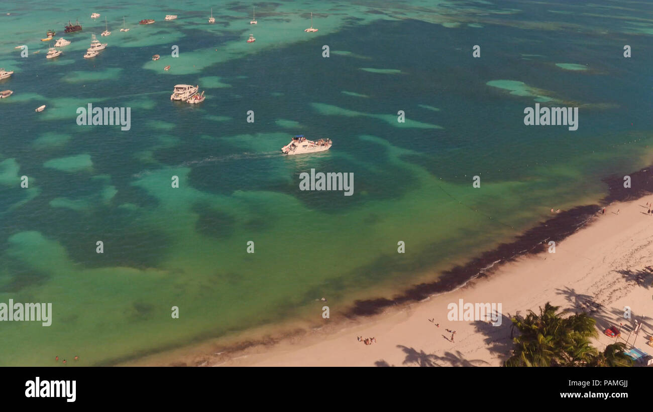 View of the beach with palm trees on top Stock Photo - Alamy