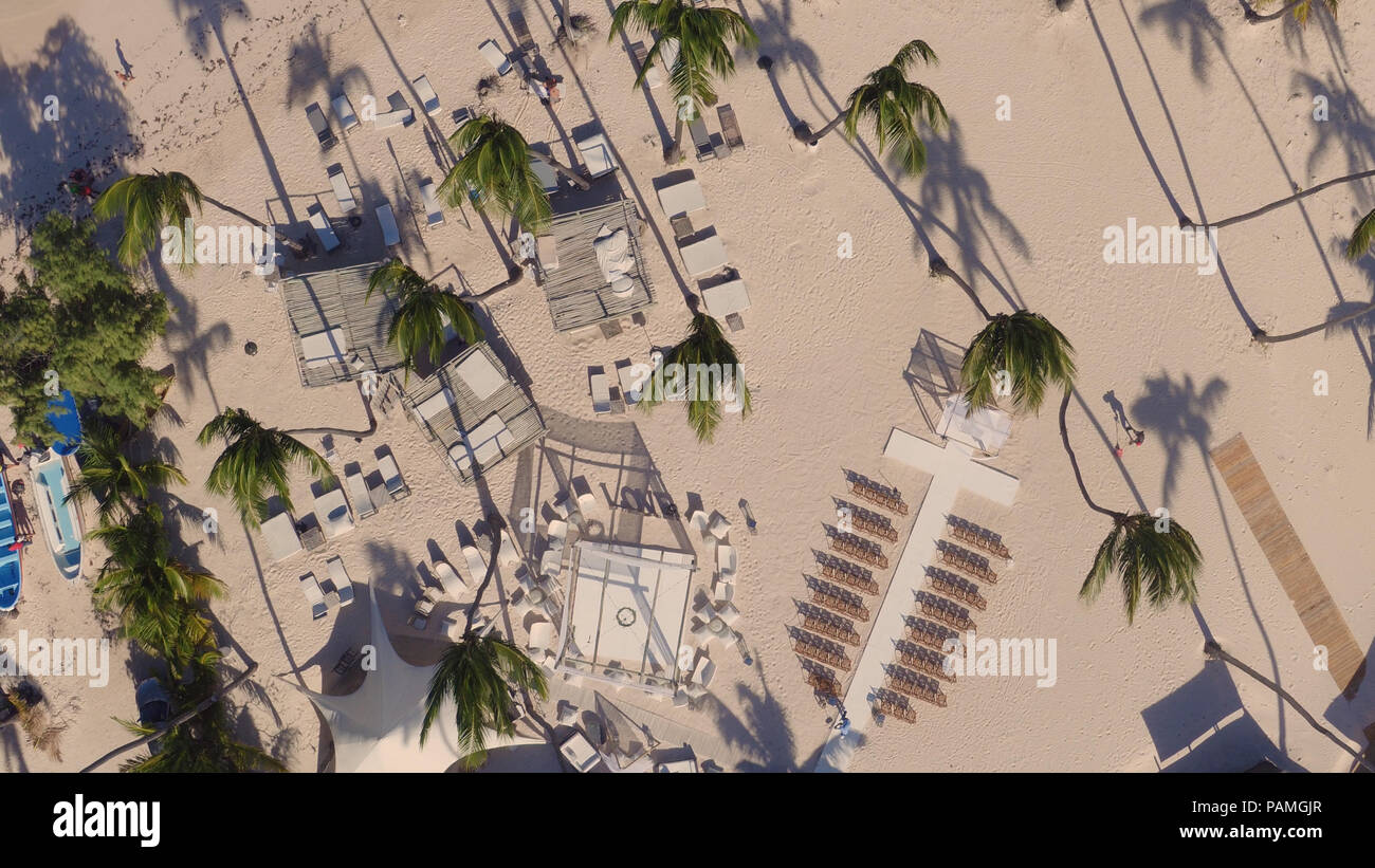 View of the beach with palm trees on top Stock Photo - Alamy