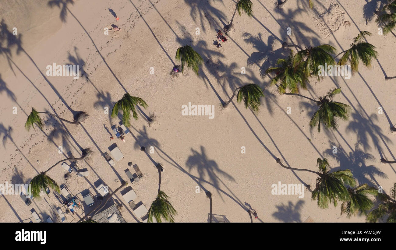 View of the beach with palm trees on top Stock Photo - Alamy