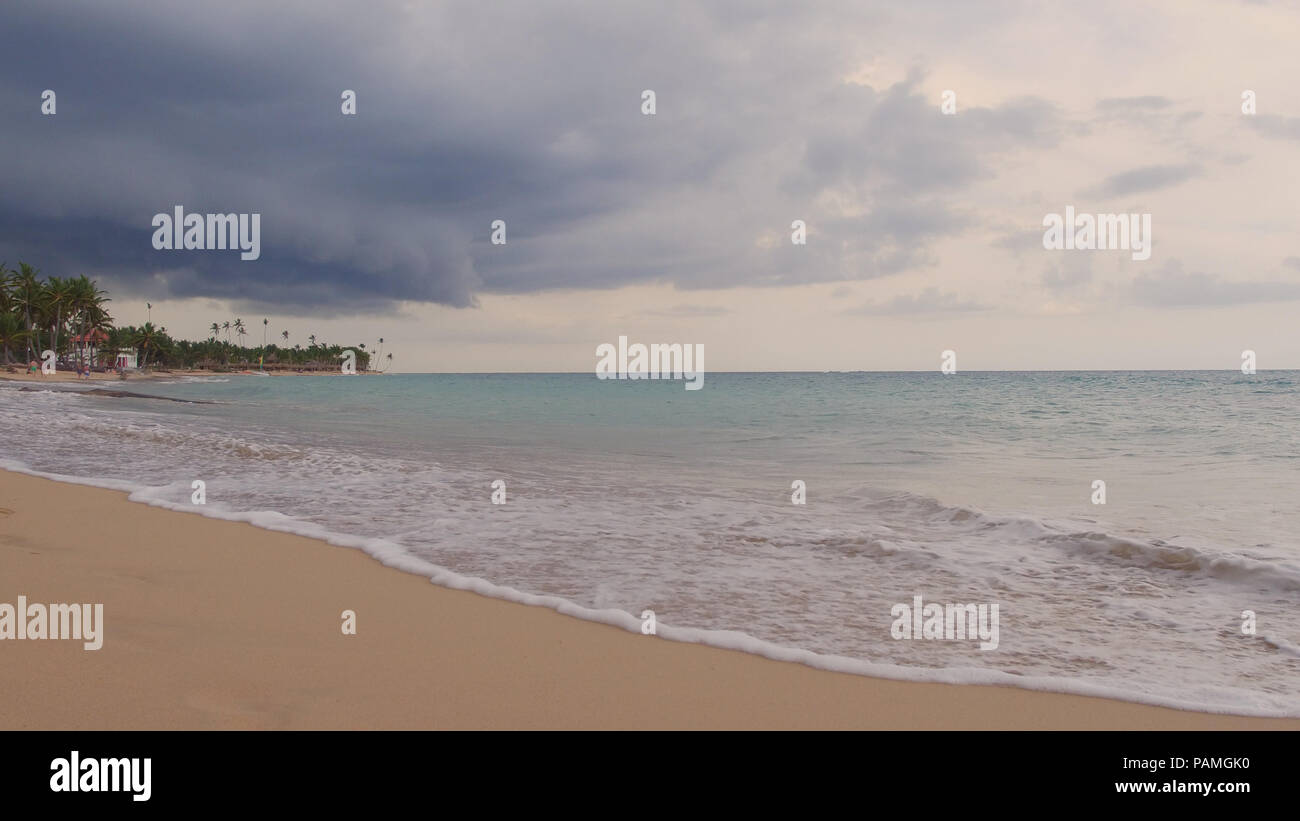 View of the beach with palm trees on top Stock Photo - Alamy
