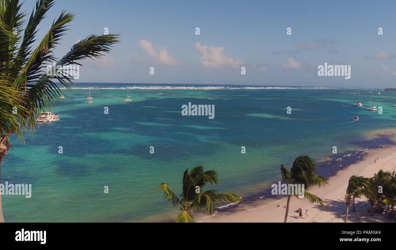 View of the beach with palm trees on top Stock Photo - Alamy
