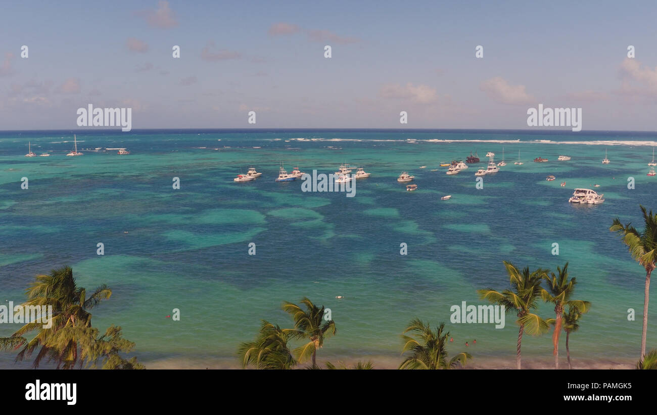 View of the beach with palm trees on top Stock Photo - Alamy