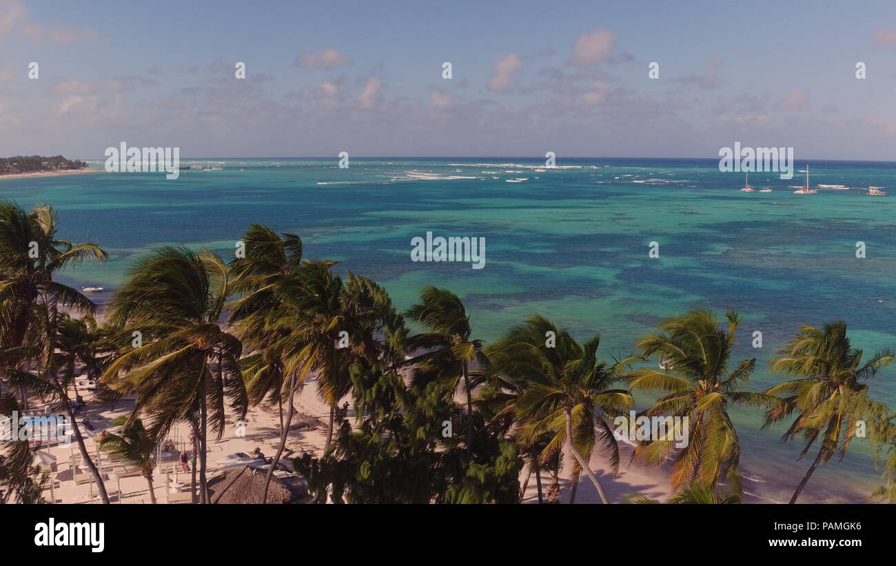 View of the beach with palm trees on top Stock Photo - Alamy