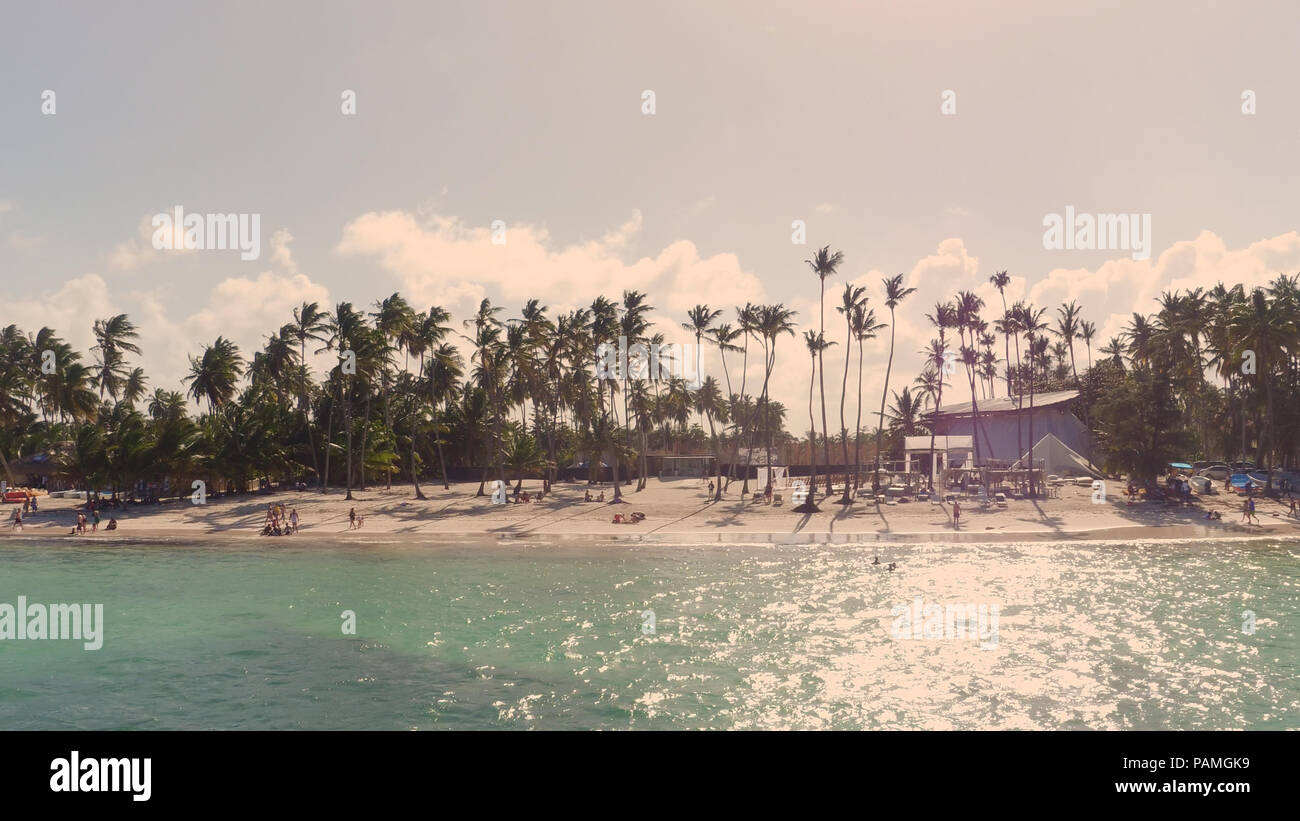 View of the beach with palm trees on top Stock Photo - Alamy
