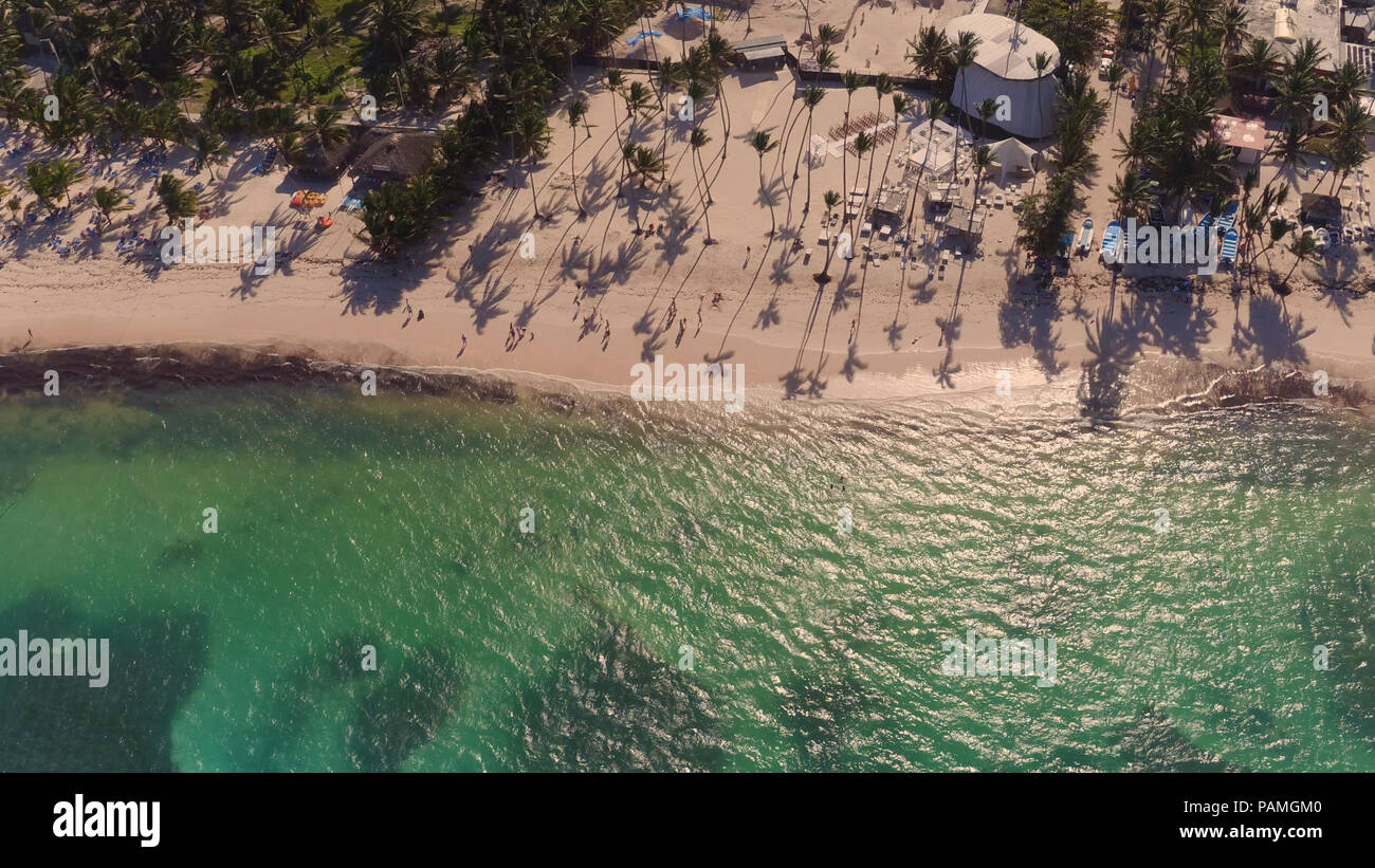 View of the beach with palm trees on top Stock Photo - Alamy