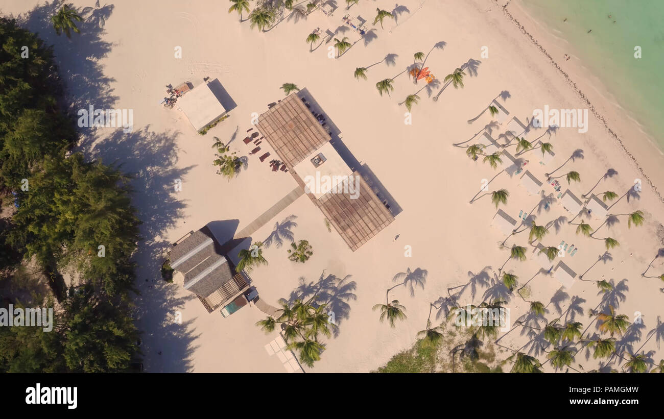 View of the beach with palm trees on top Stock Photo - Alamy