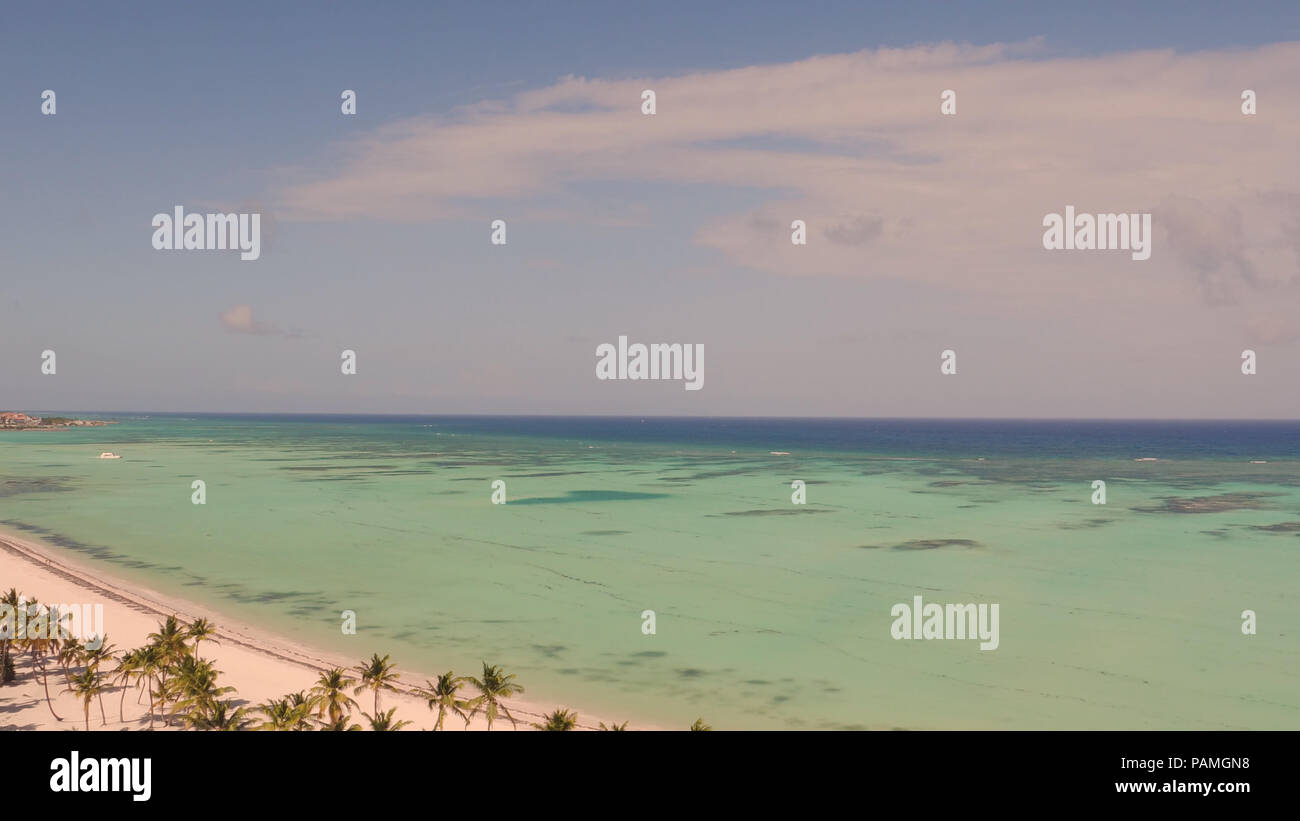 View of the beach with palm trees on top Stock Photo - Alamy