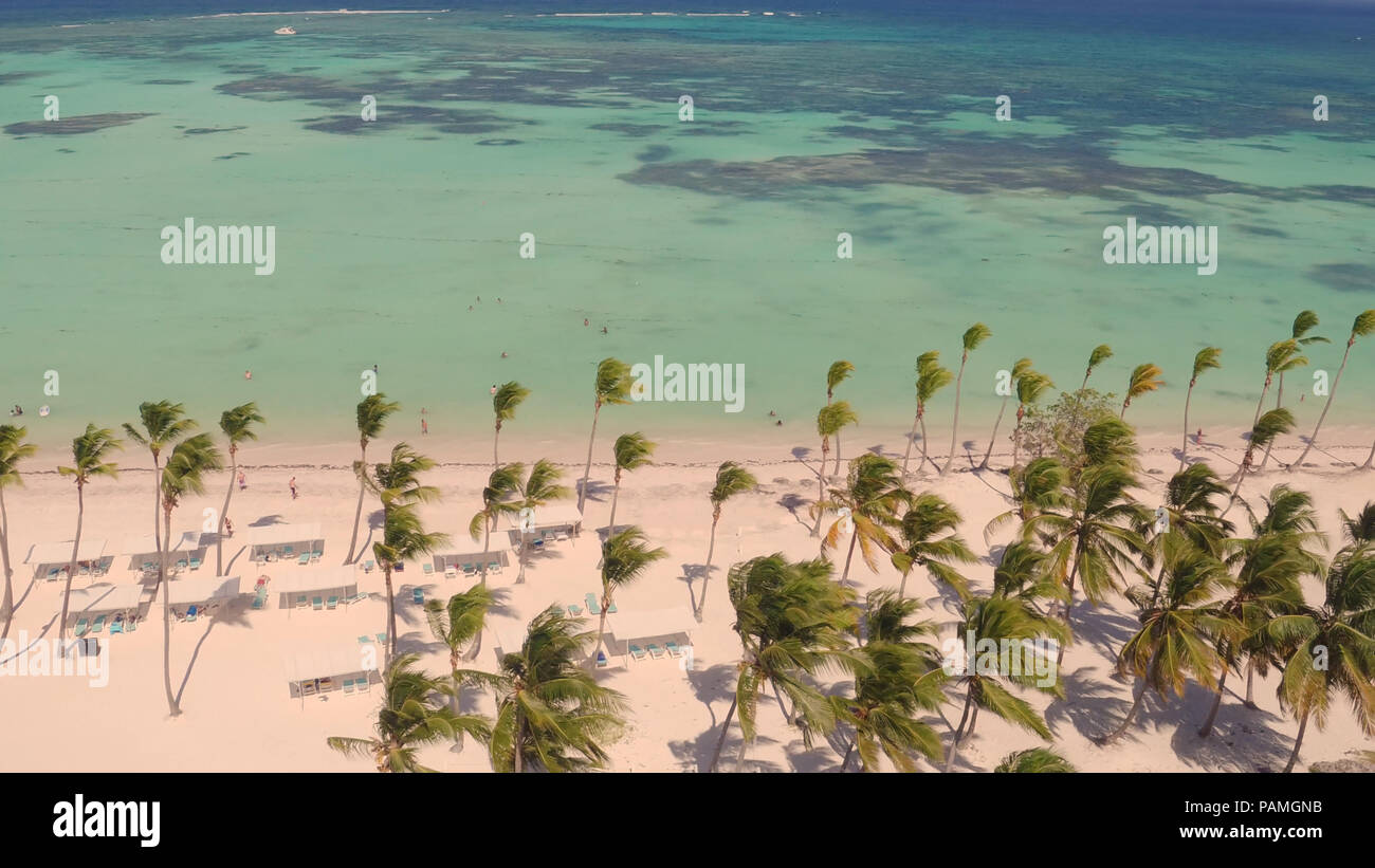View of the beach with palm trees on top Stock Photo - Alamy