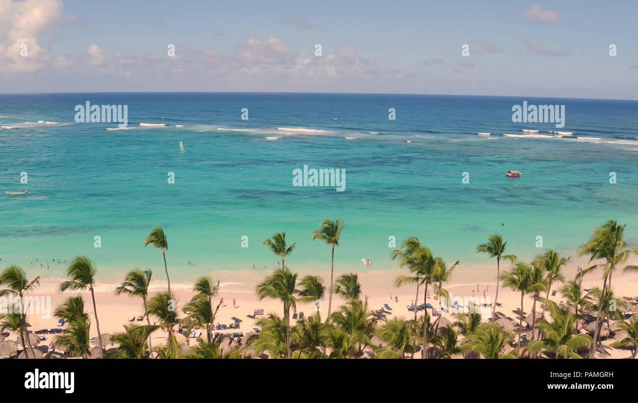 View of the beach with palm trees on top Stock Photo - Alamy