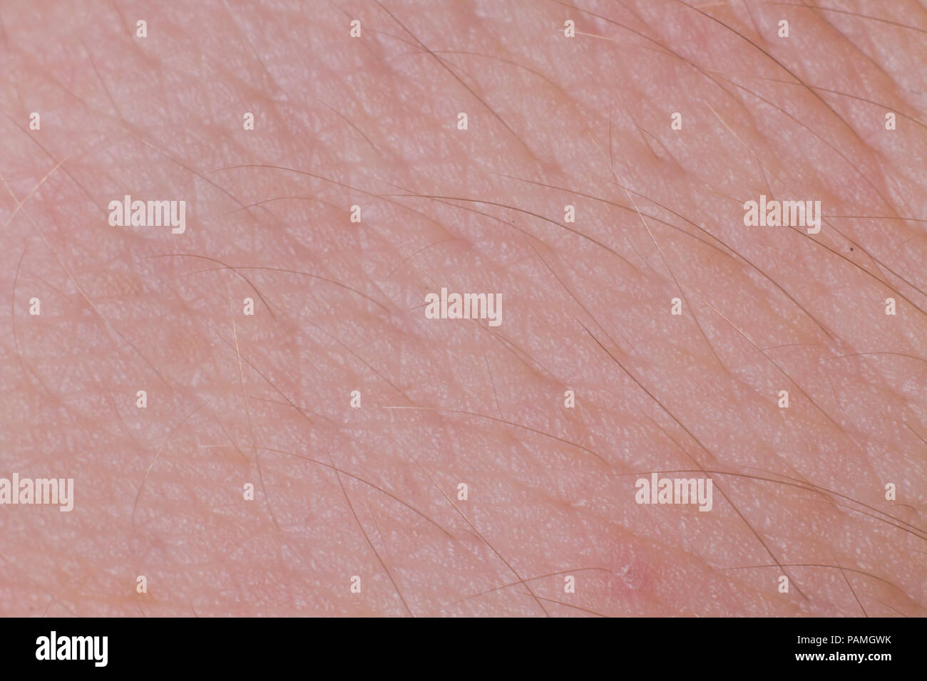Human skin texture close up. Macro of brown young person clean skin ...