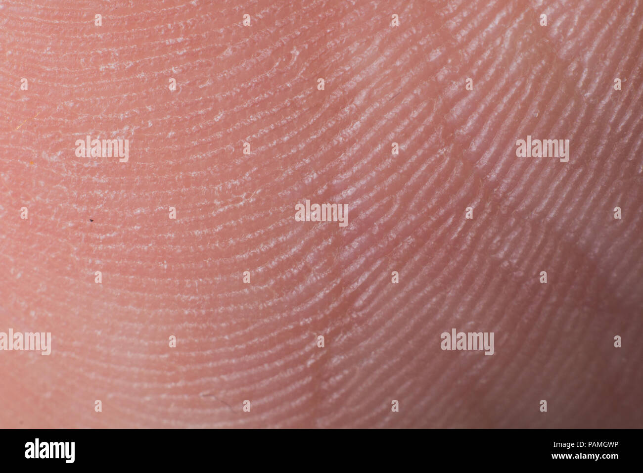 Human skin texture close up. Macro of brown young person clean skin ...