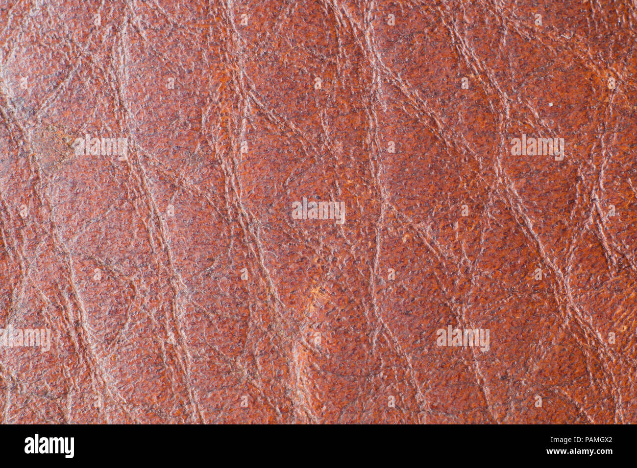 Skin background with a red tint Stock Photo - Alamy