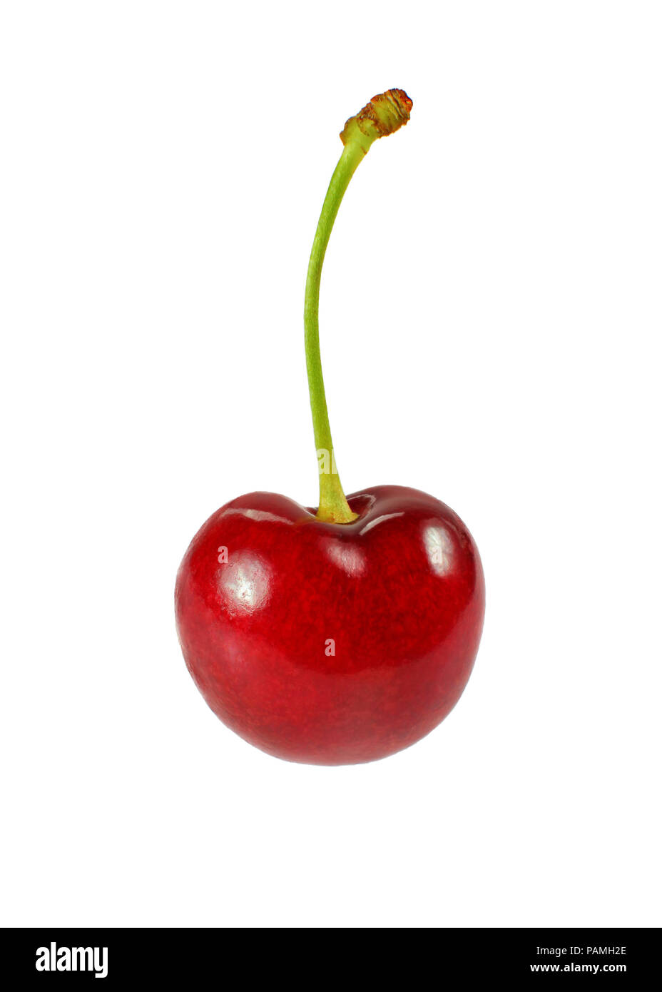 Single red cherry (Prunus avium fruit) isolated on white background ...