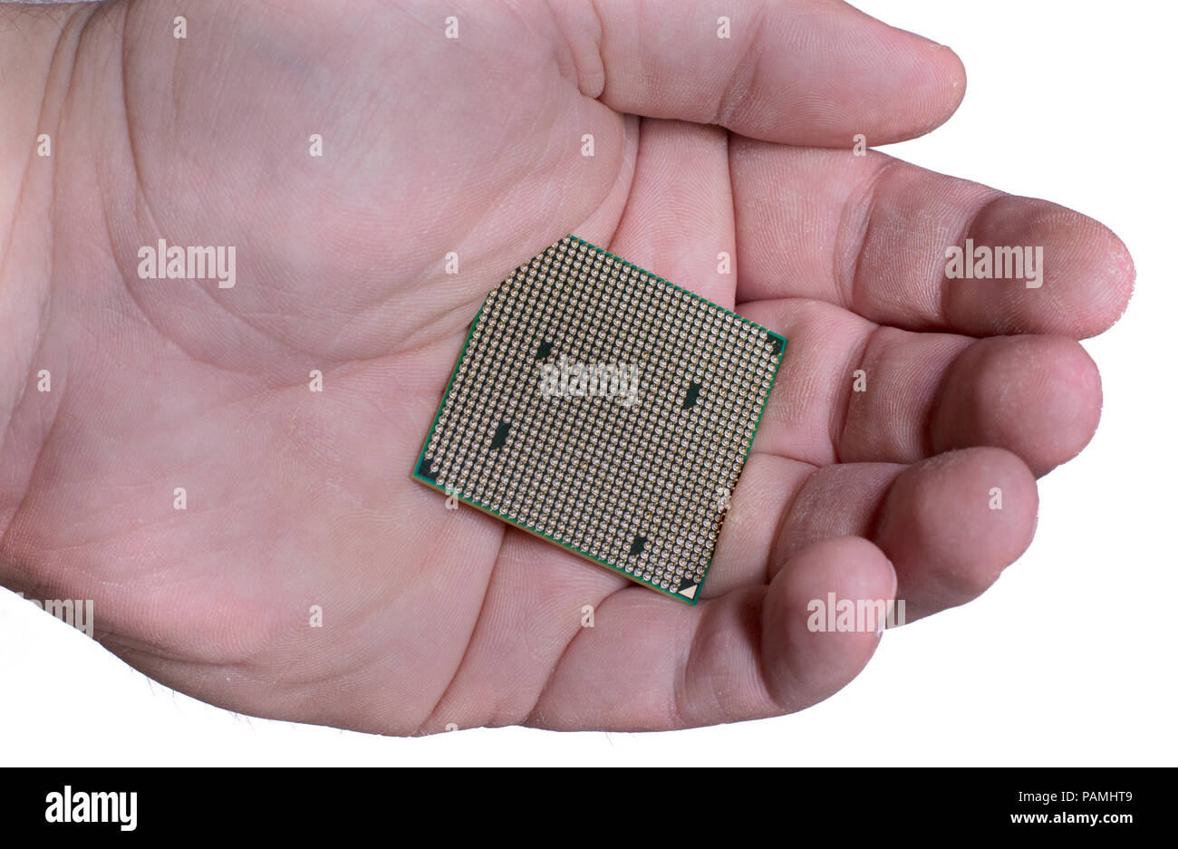 The processor in the person's hand Stock Photo - Alamy