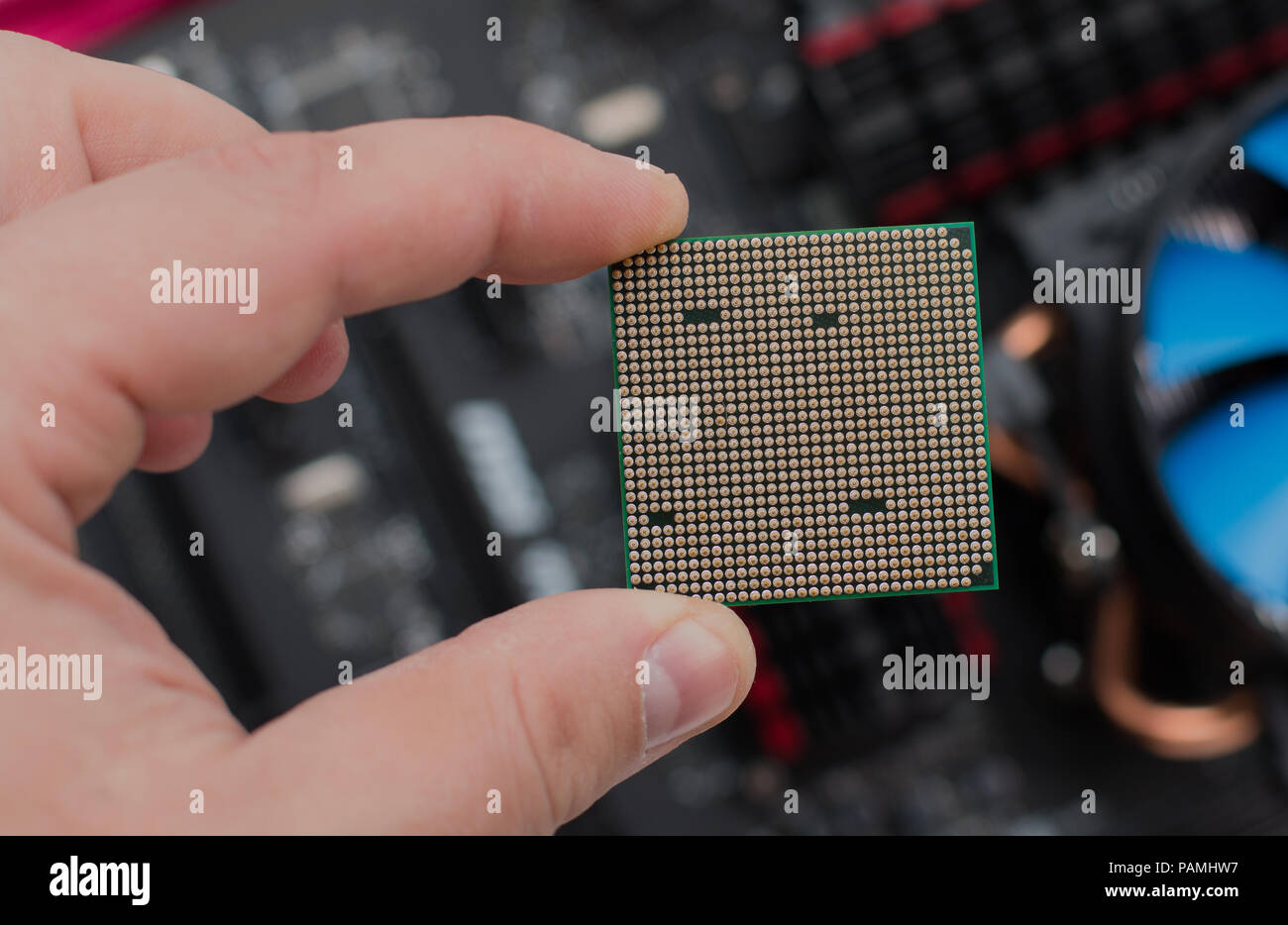 The processor in the person's hand Stock Photo - Alamy