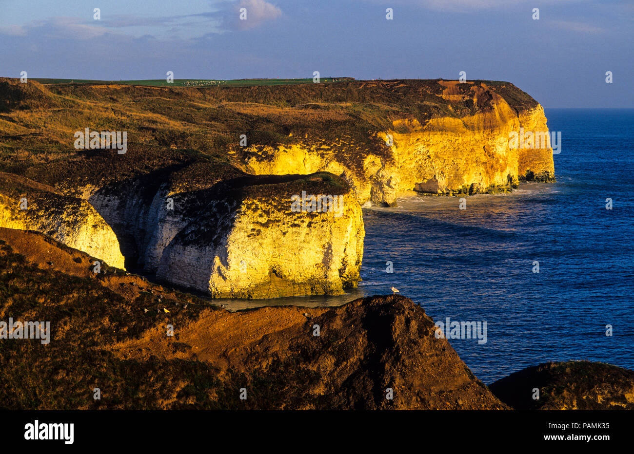 Flamborough Head, Special Area of Conservation, Important Bird Nesting ...