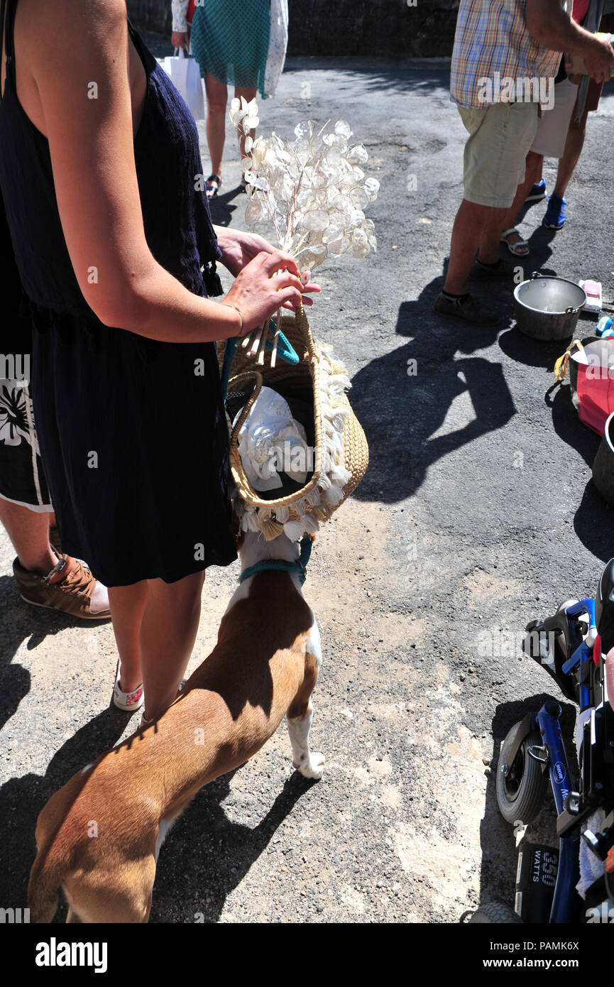 Every year residents of the small French village of Soumartre, Faugeres ...