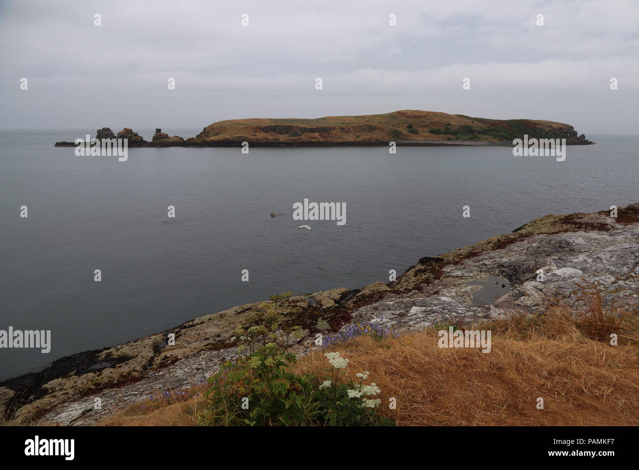 Muck island hi-res stock photography and images - Alamy