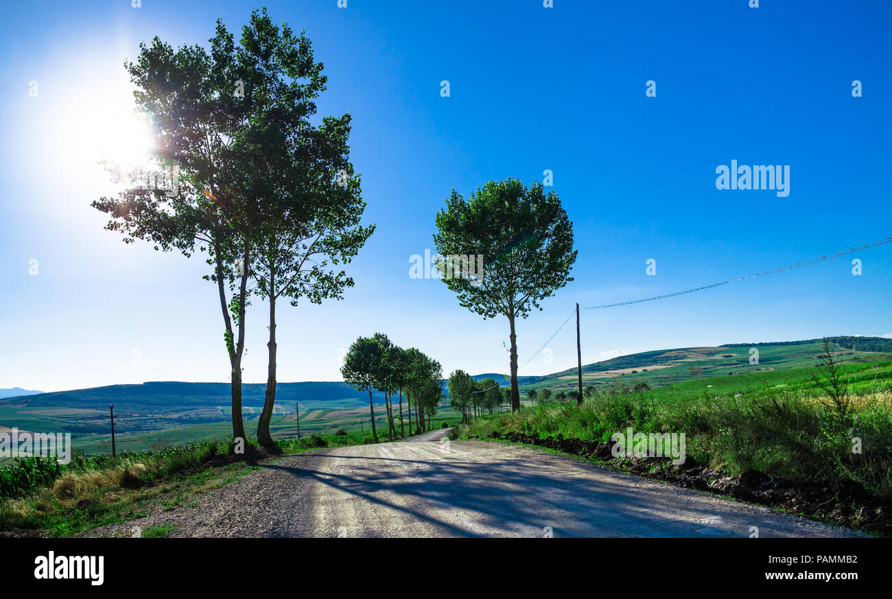 Rural road made of rock over green hills and farm land at sunset Stock ...
