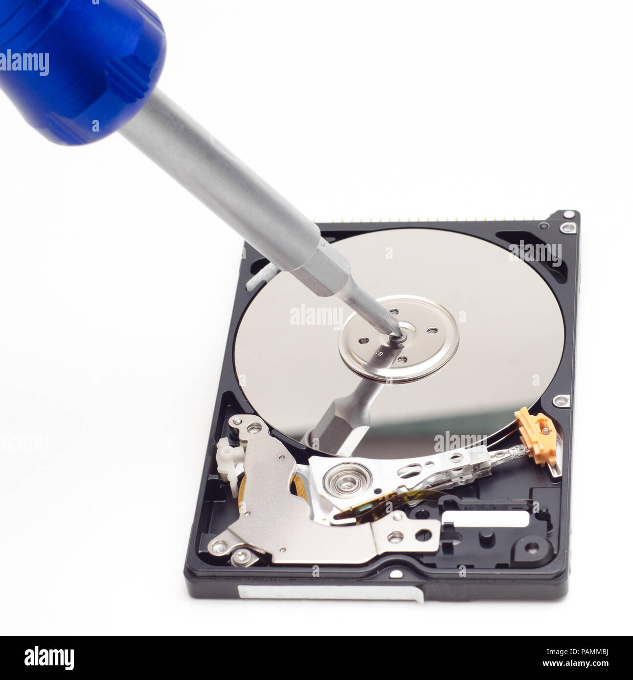 A screwdriver repairing an hdd Stock Photo - Alamy