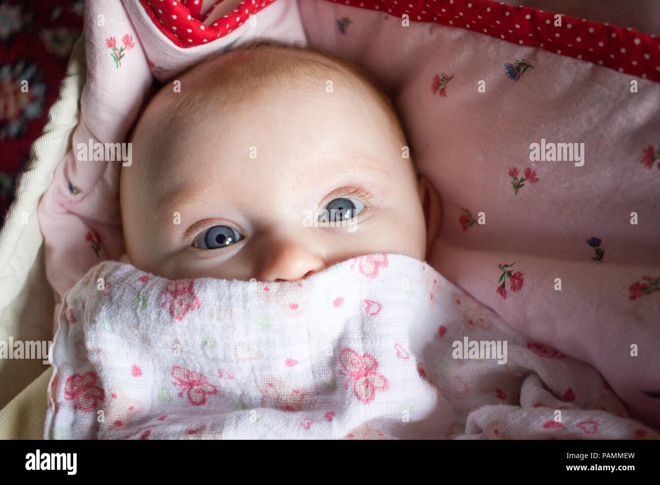veiled baby with blue eyes looking at camera Stock Photo - Alamy