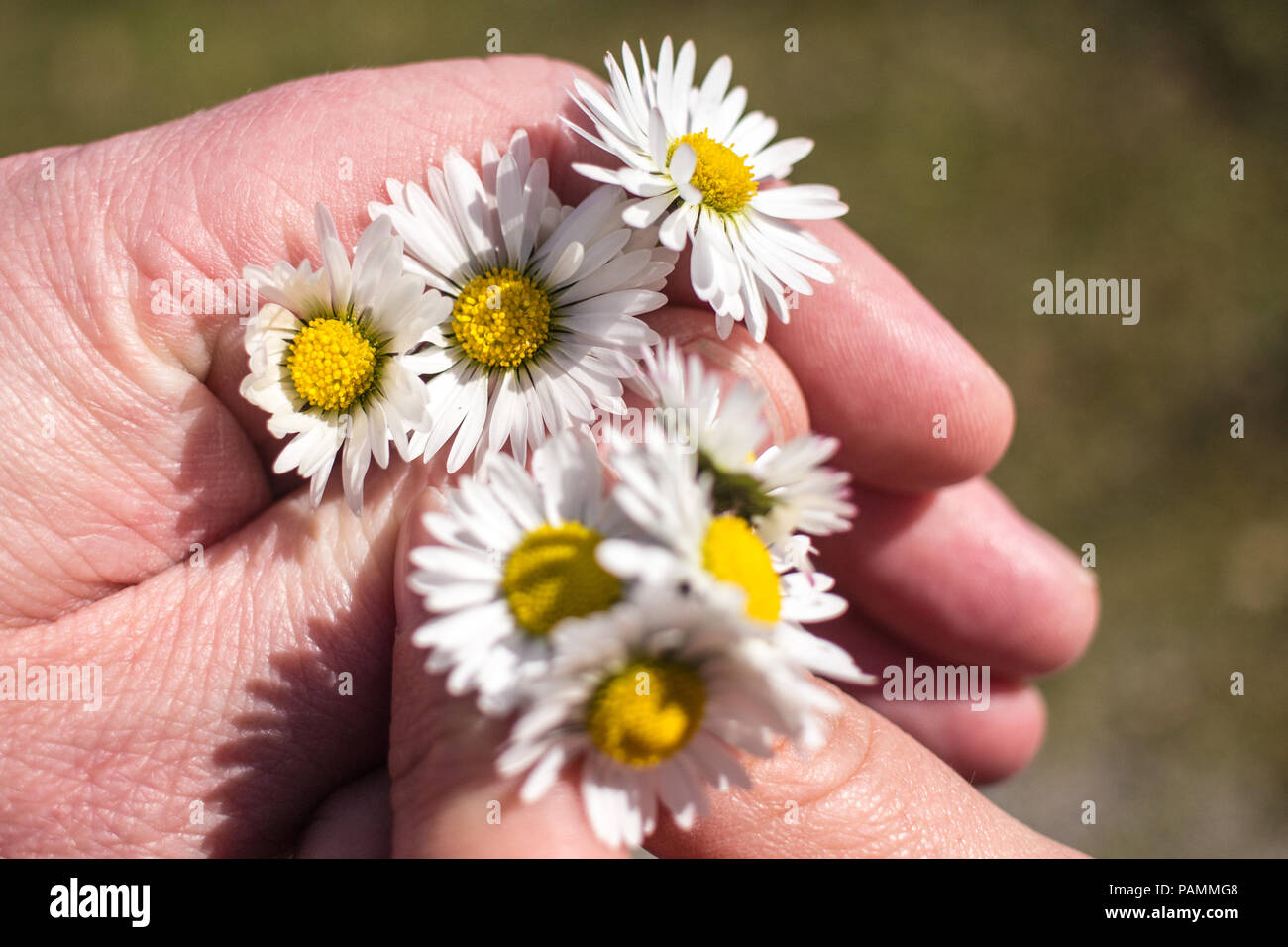 Endless growth hi-res stock photography and images - Alamy