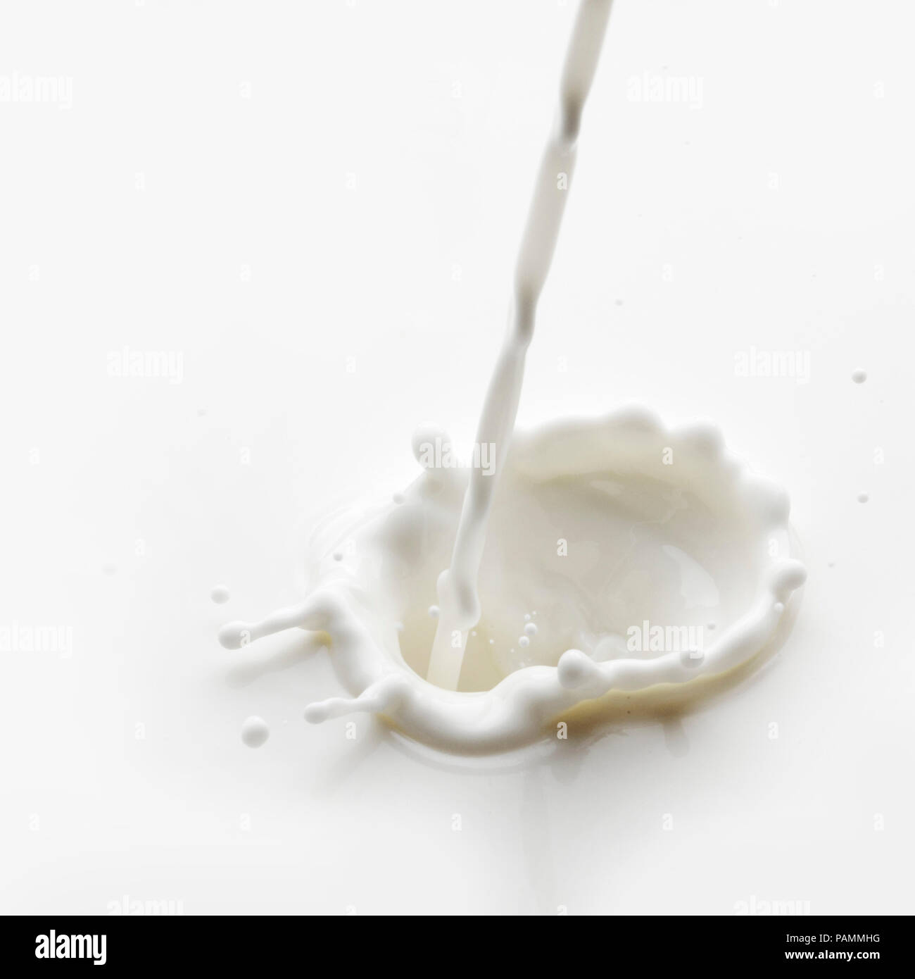 Pouring milk splash isolated on white background Stock Photo - Alamy