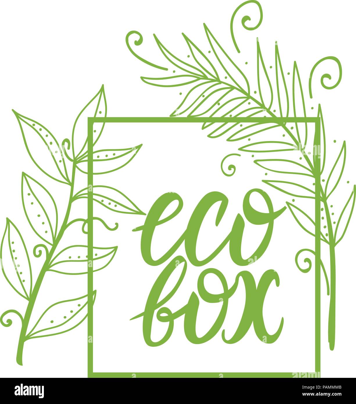 Vector Eco Box inscription lettering sign Stock Vector Image & Art - Alamy