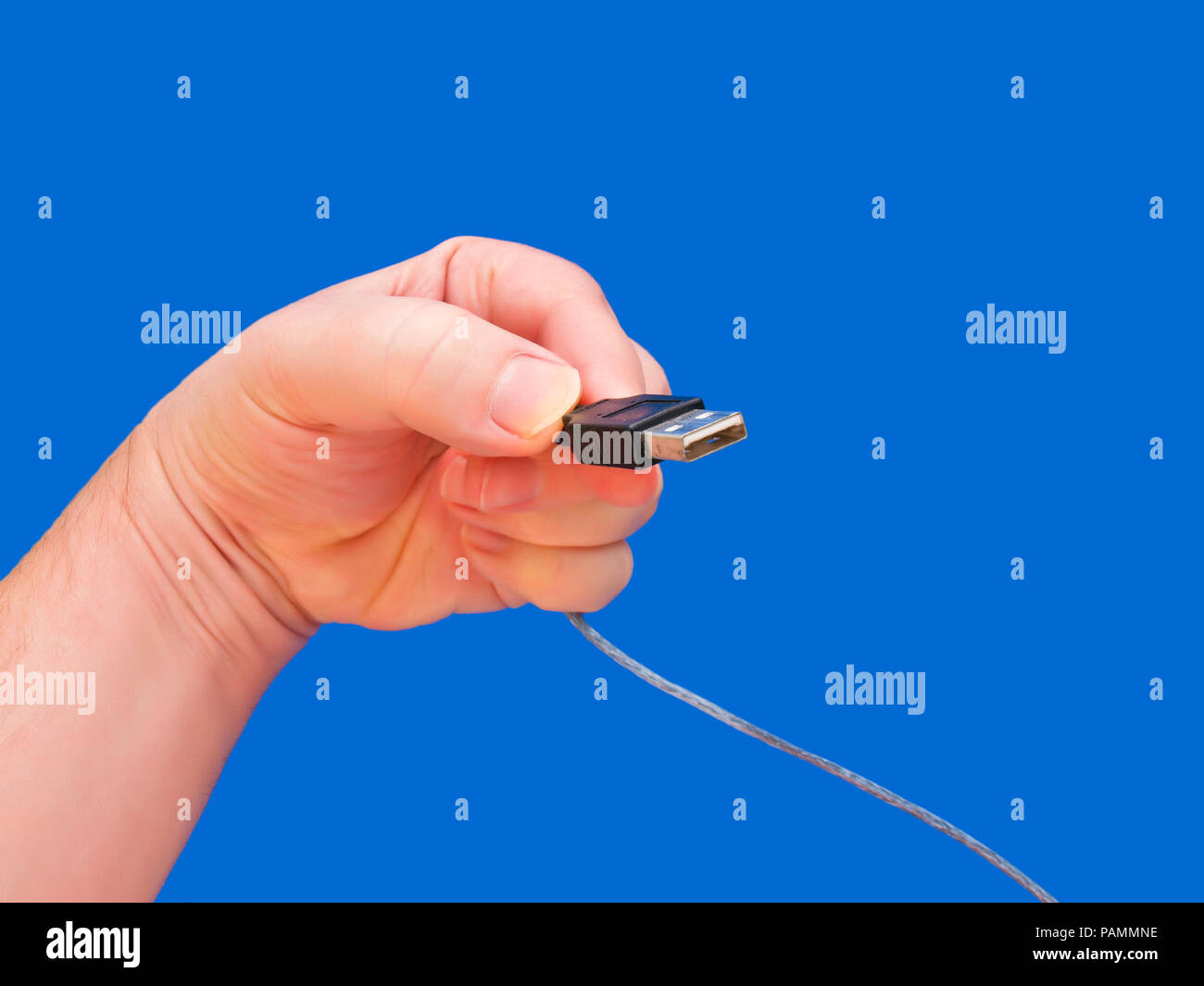 Hand holding computer USB cable 1-Blue Background Stock Photo - Alamy