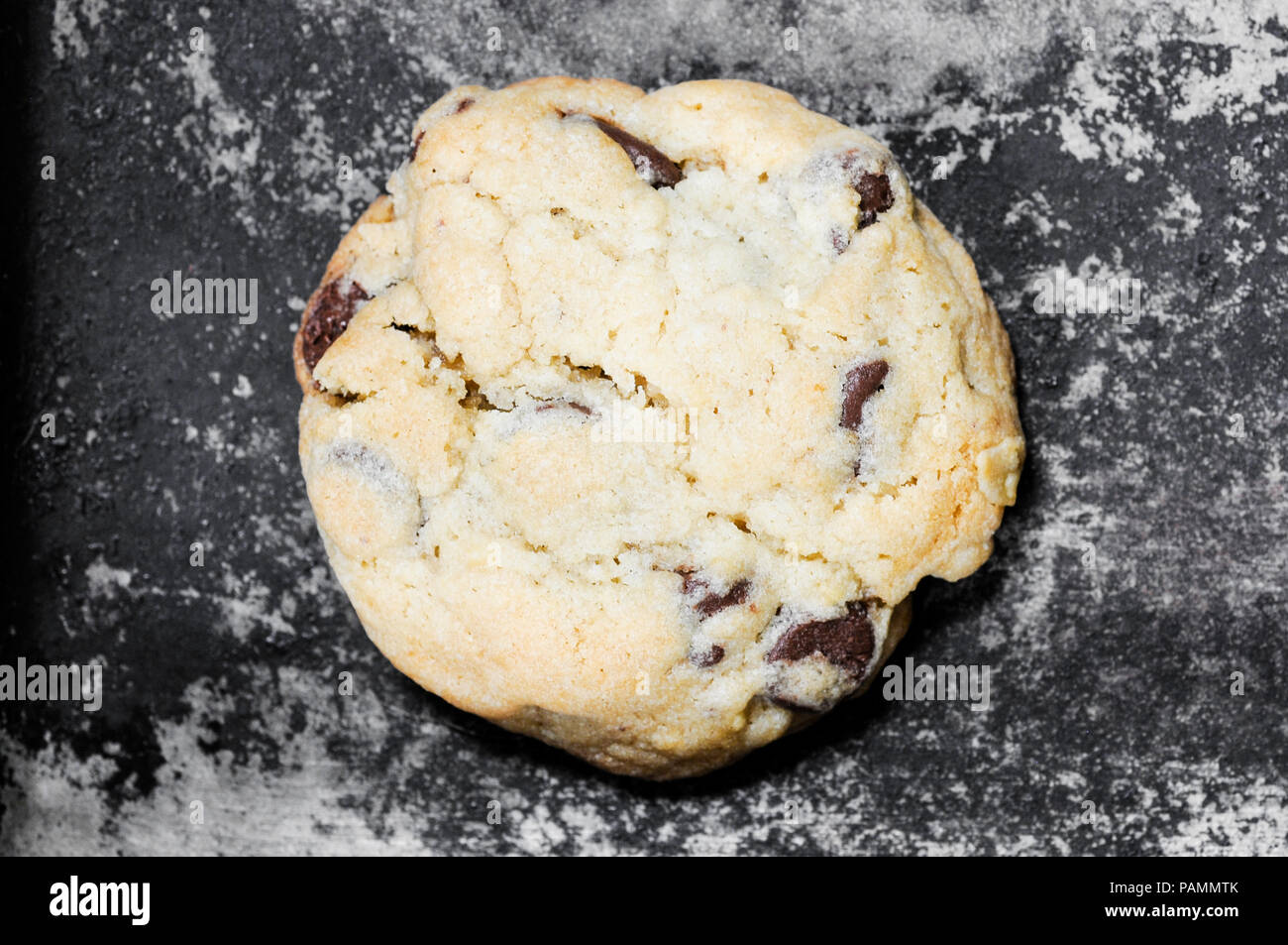 Single chocolate chip cookie Stock Photo - Alamy