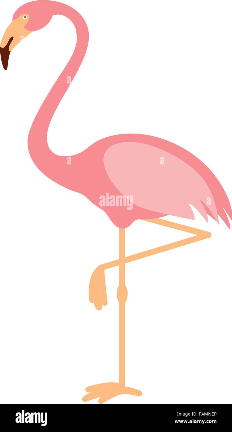 Pink Flamingo isolated vector illustration Stock Vector Image & Art - Alamy