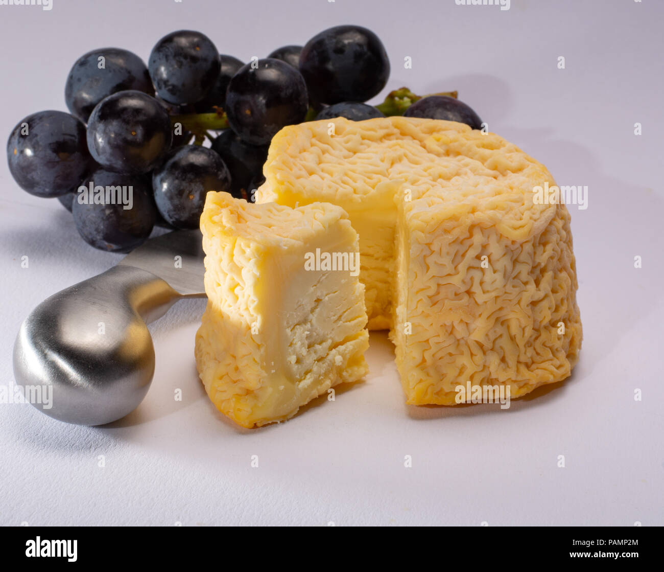 French AOC Langres soft cow crumbly cheese with washed rind structure ...