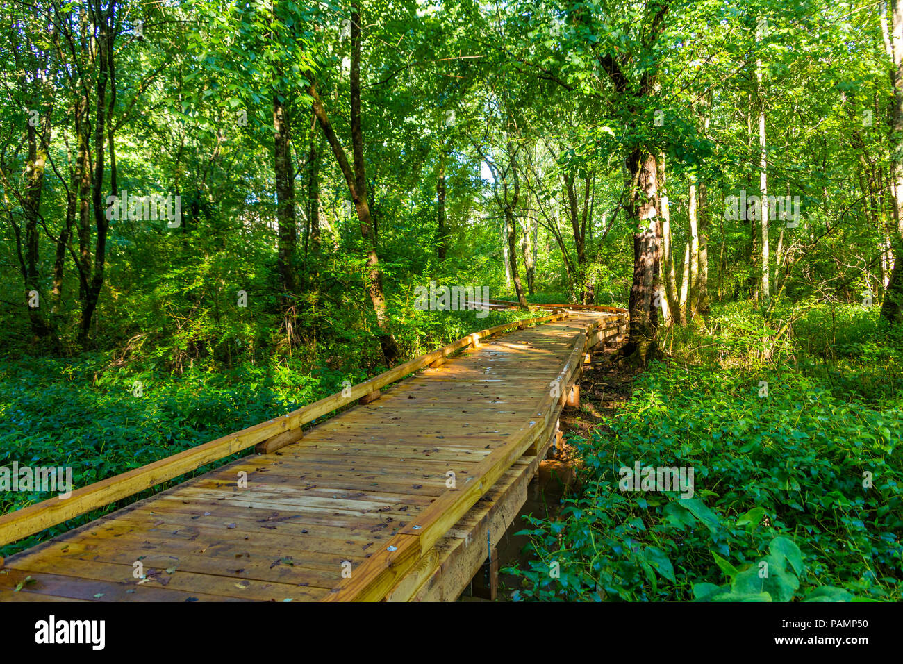 Path curving into nature hi-res stock photography and images - Alamy