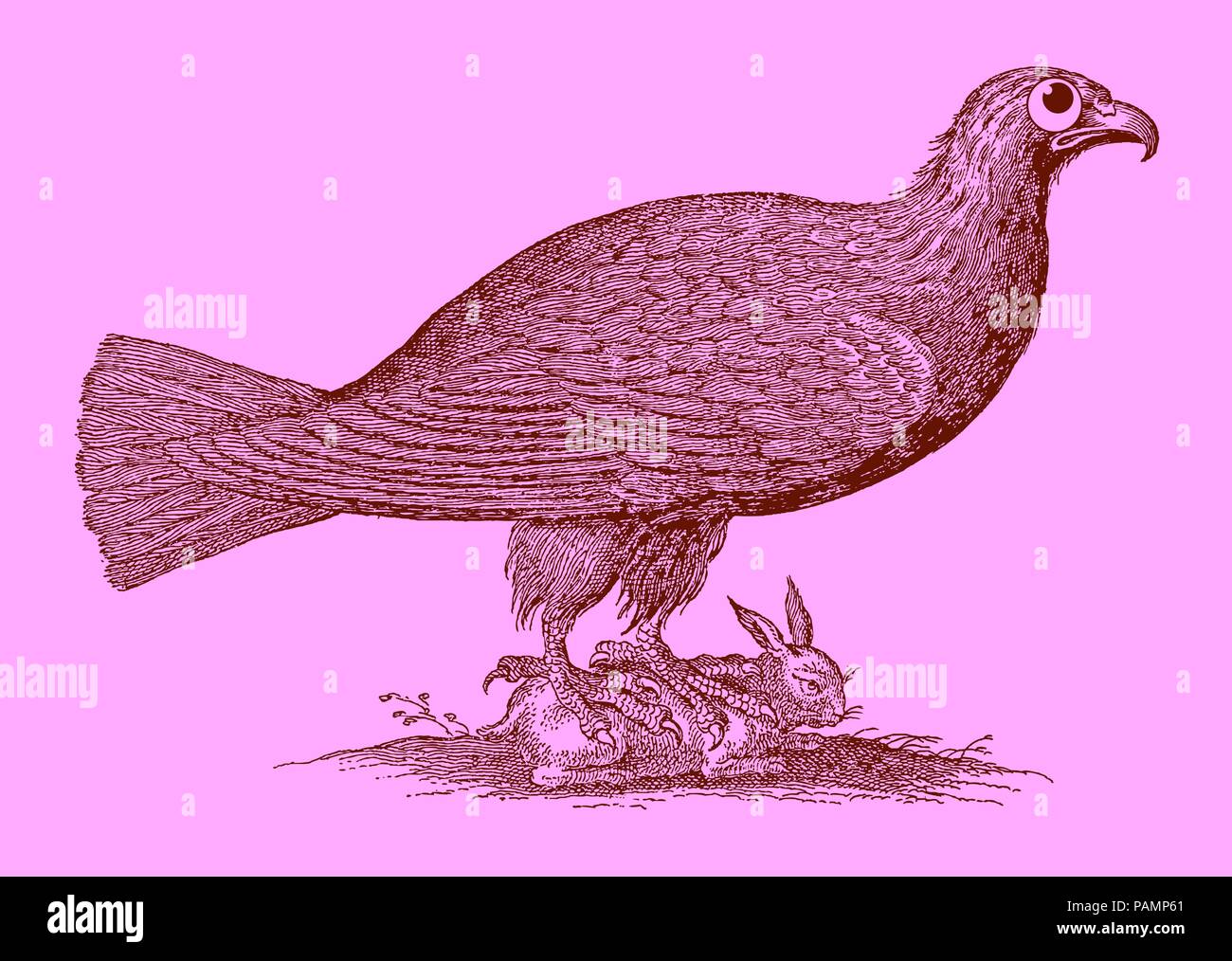 Cute predator: eagle sitting on a captured rabbit. Illustration after a ...