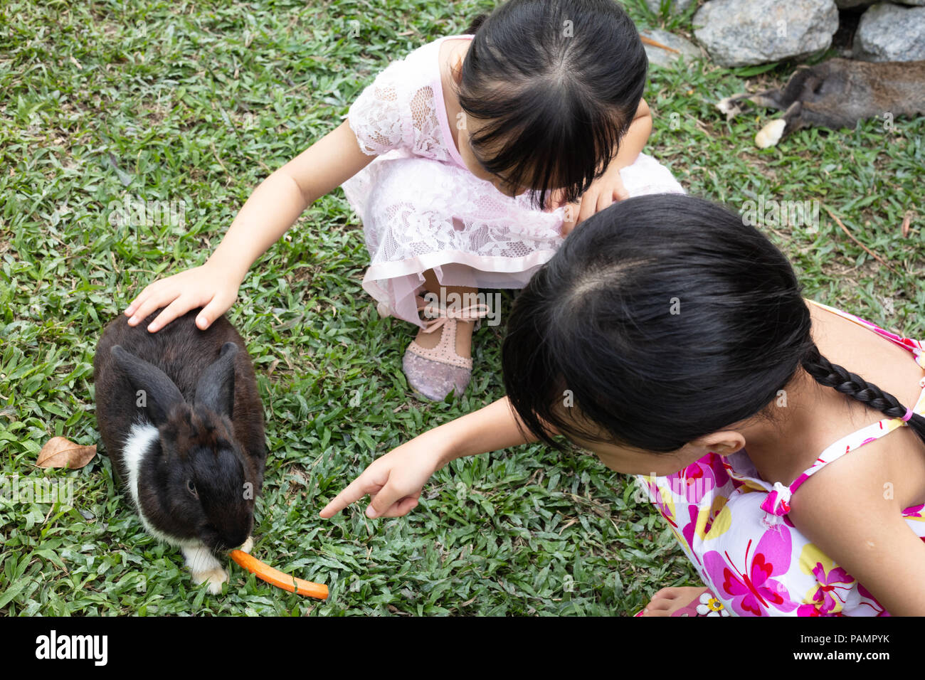 Asian Little Chinese Sisters Feeding a Rabbit with Carrot in the ...
