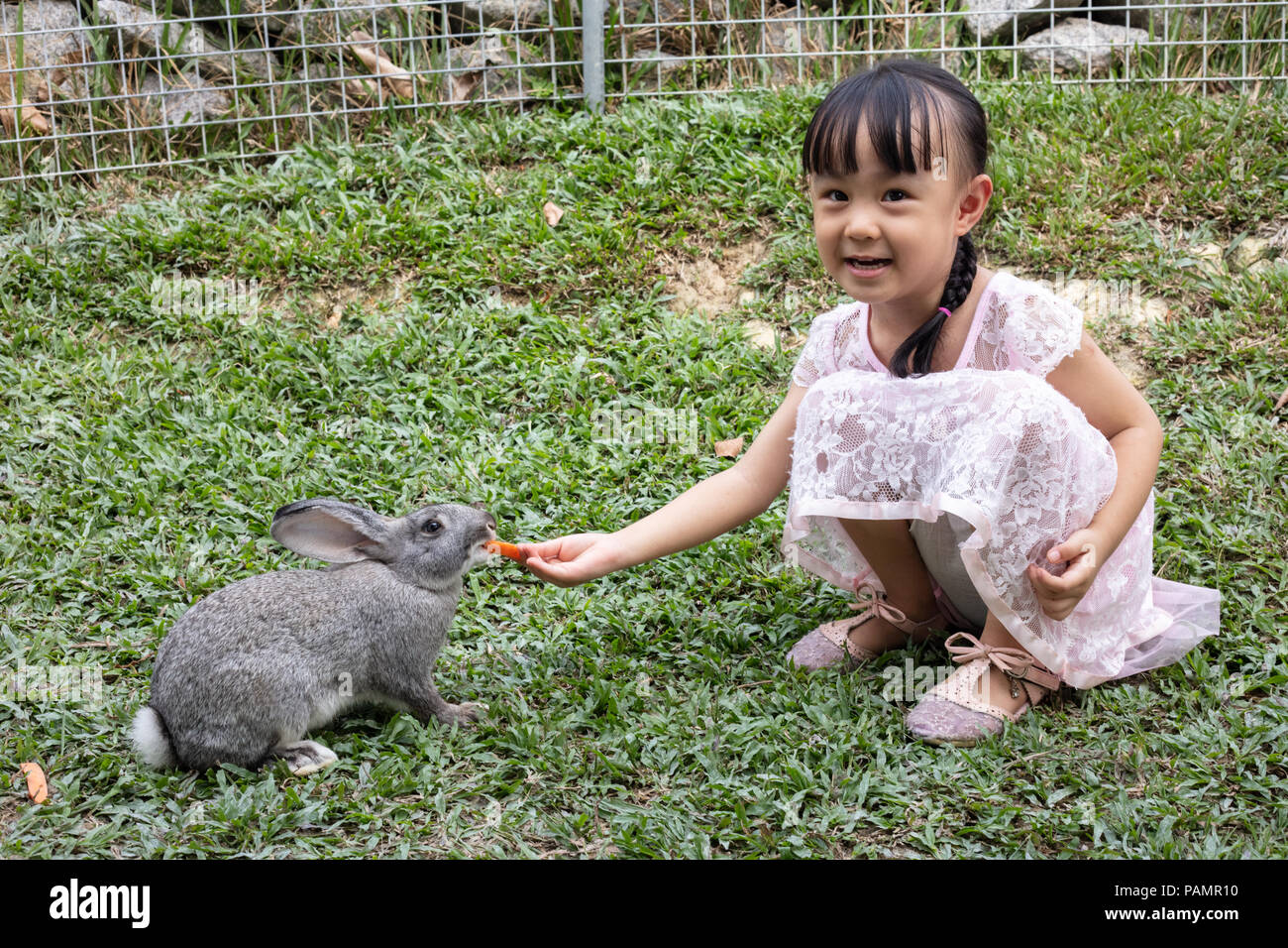 Children playing in farmyard hi-res stock photography and images - Alamy