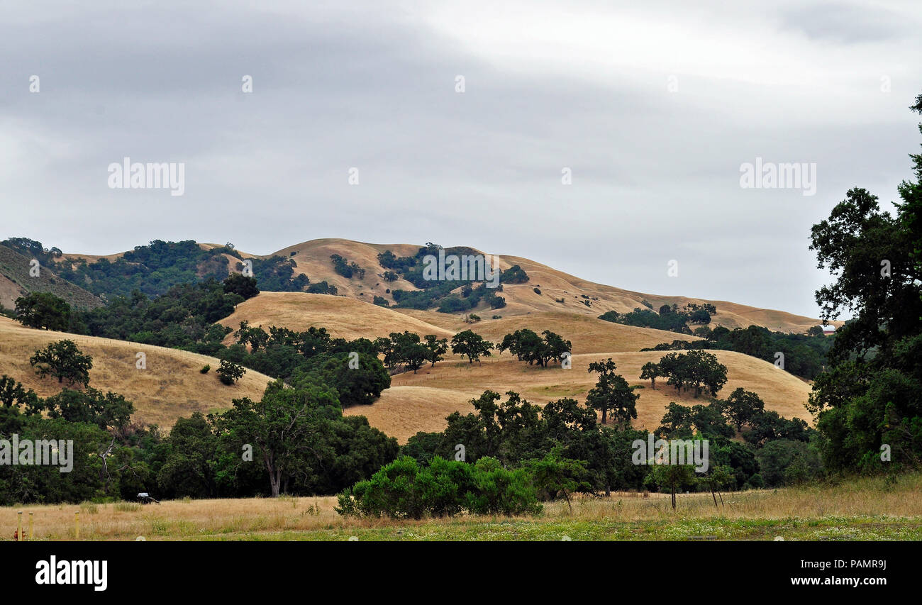 Sunol regional wilderness hi-res stock photography and images - Alamy