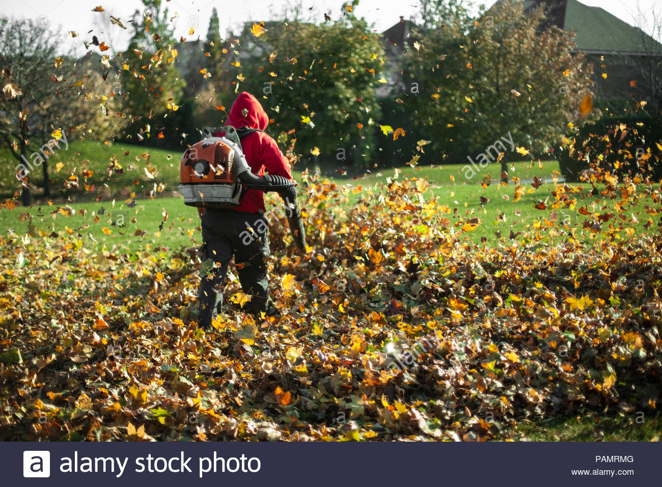 Autumn Leaves Blowing High Resolution Stock Photography and Images - Alamy