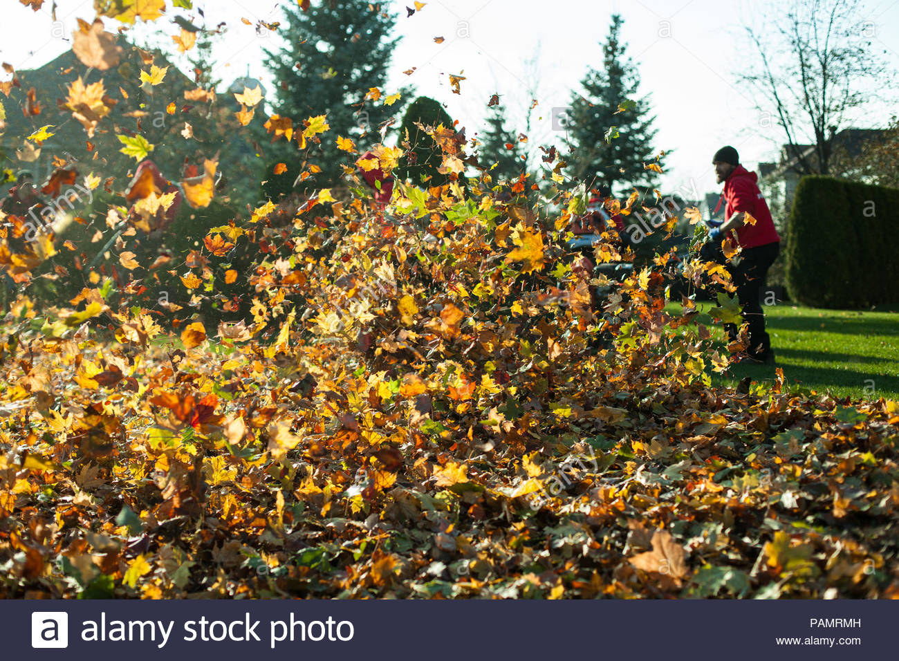 Leaves Blowing Stock Photos & Leaves Blowing Stock Images - Alamy